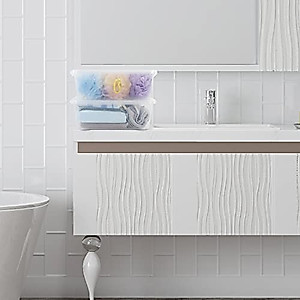 Easymanie 6.5 Quart Clear Plastic Bins with Lids, Latching Storage Boxes, 4 Packs, F