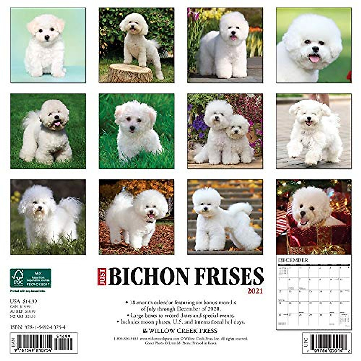 Just Bichons Frises 2021 Wall Calendar (Dog Breed Calendar)