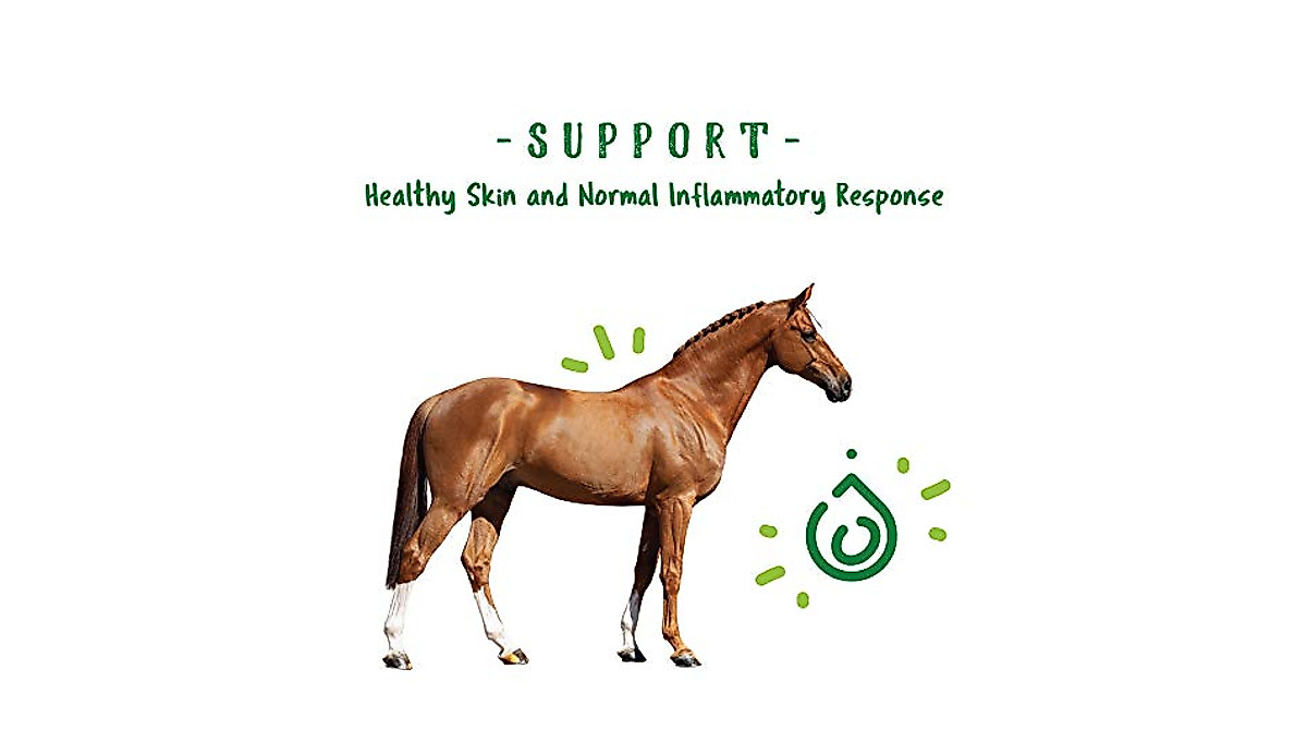 Manna Pro Bug Clear - All Natural Insect Control for Horses