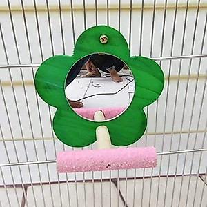 Bird Parrot Mirror with Perch Natural Wood Swing Colorful Sand Grind Paw Trim Beak for Small Parrot Parakeet Cockatiel Lovebird Conure Finch Budgie (Flower-Shaped)