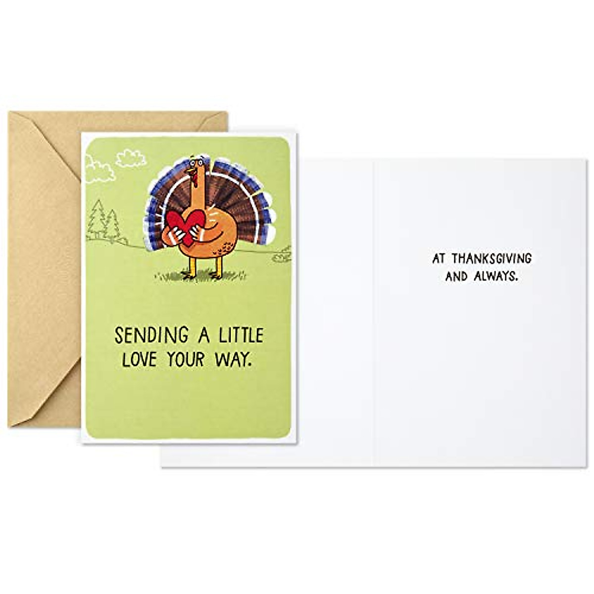 Hallmark Funny Shoebox Funny Thanksgiving Card Assortment (6 Cards with Envelopes)