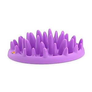 The Company of Animals CATCH Interactive Feeder, Purple