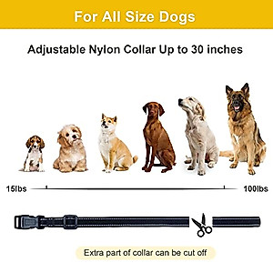PATPET Vibrating Dog Collar No Shock - Dog Training Collar with Remote Up to 1000ft Range, Rechargeable Waterproof Vibration Collar for Dogs with 3 Training Modes, No Prongs and No Shock