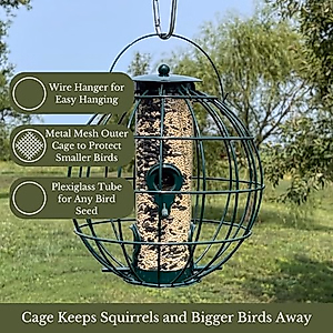 Backyard Essentials Orb Caged Seed Feeder for Wild Birds, Petite Orb Caged Seed Feeder for Outdoors