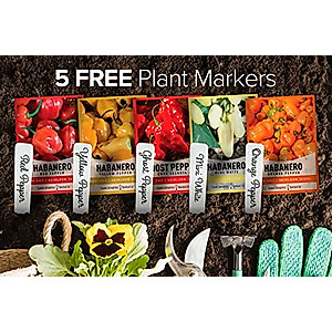 Hot Pepper Seeds For Planting Ghost Habanero - 5 Varieties Pack Ghost Pepper Seeds, Red, Orange, Yellow, White Habanero Seeds For Planting In Garden Non Gmo, Heirloom Peppers Seeds By Gardeners Basics