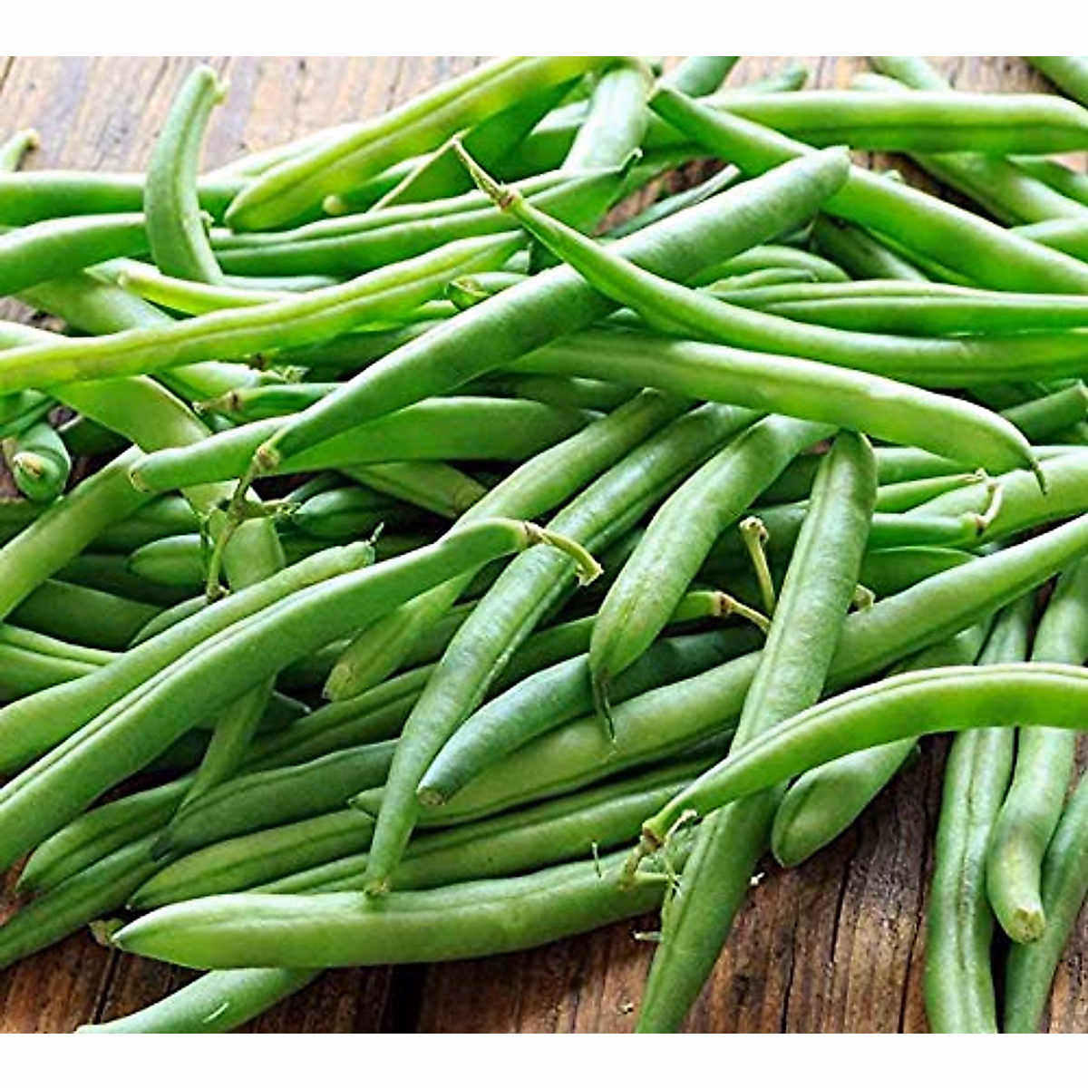 Blue Lake Bush Green Bean Seeds, 50+ Heirloom Seeds Per Packet, Non GMO Seeds, (Isla's Garden Seeds), Botanical Name: Phaseolus vulgaris