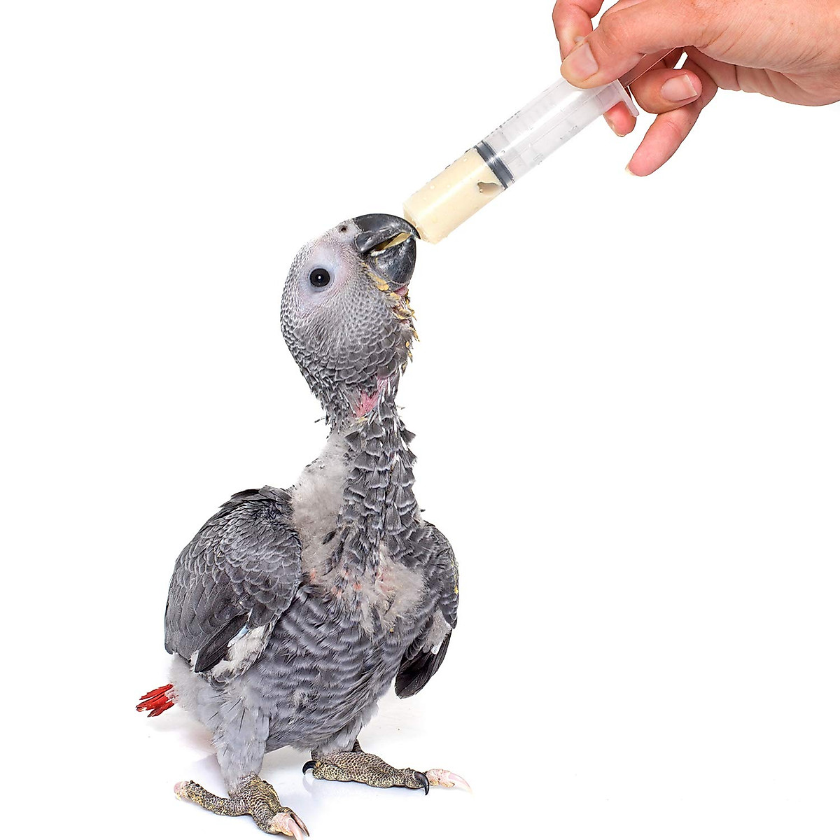 Frienda 4 Pack Large Plastic Syringe for Scientific Labs and Dispensing Multiple Uses Measuring Syringe Tools (100 ml)