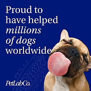 PetLab Co. Digestive Support Bites - Dog Training Treats - Chewy Dog Treats to Support Gut Health - Training Treats for Dogs - Premium Ingredients and Nutritional Benefits - Delicious Puppy Treats