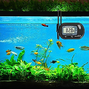 AQUANEAT 2 Pack Aquarium Thermometer, Fish Tank Thermometer, Digital Thermometer, Reptile Thermometer, Terrarium Water Temperature Test, with Large LCD Display
