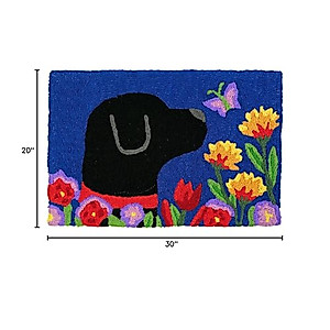 Garden Lab Jellybean Accent Rug with Black Lab Floral Rug 20"x30" Doormat