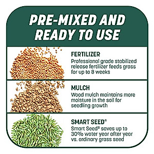 Pennington Smart Patch Sun and Shade Mix 10 lb