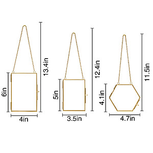 Double Glass Frame for Pressed Flowers - w/Real Dried Flowers and Tweezer for Handicrafts, Photo, or Other Small Flat Items
