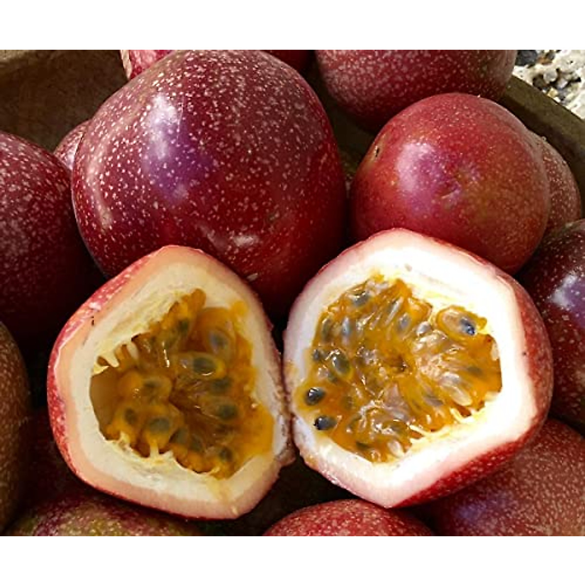 Gaea's Blessing Seeds - Passion Fruit Seeds - Heirloom Non-GMO Seeds with Easy to Follow Instructions - Passiflora edulis 90% Germination Rate