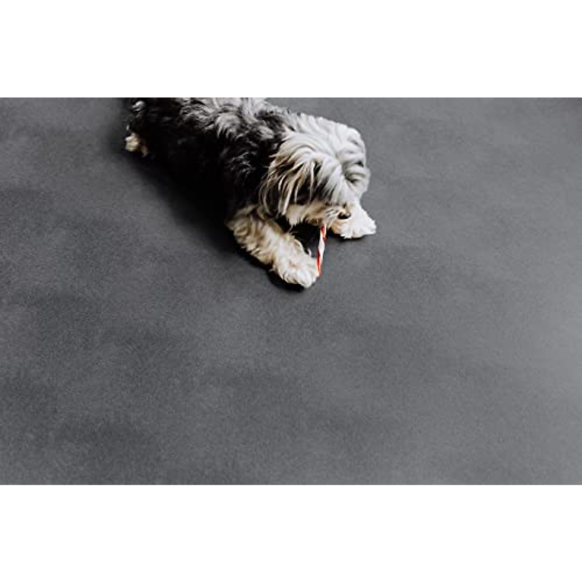 G-Floor for Pets Levant Texture Protective Vinyl Floor Covering for Hardwood, Concrete, and Low-Pile Carpet - 7.5ft x 17ft Slate Grey