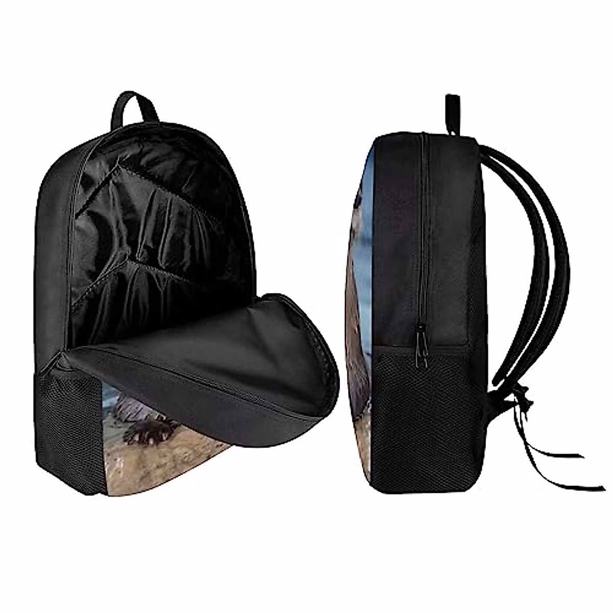 Kids Novelty Animal Backpack and Lunch Box for Boys Girls Student Lightweight 17 Inch School North American River Otter Backpack with Lunch Bag Pencil Case Kids Comfy Padded Black Large Bookbag