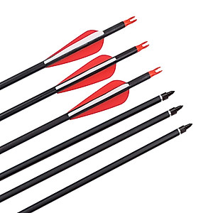 ELONG 12PCS 26" Arrows for Compound Bows,Carbon Hunting Arrows for Archery Spine 500 with 100 Grain Screw Tips, for Compound & Recurve & Traditional Bow(with 6 Extra Nocks)