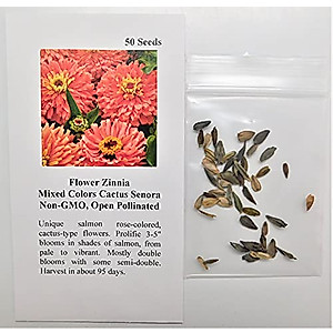 David's Garden Seeds Flower Zinnia Mixed Colors Cactus Senora FBA-7868 (Salmon) 50 Non-GMO, Heirloom Seeds