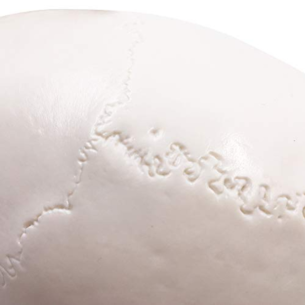 3-Part Human Skull Model - Life Size Removable Medical Detailed Anatomical Adult Head Bone