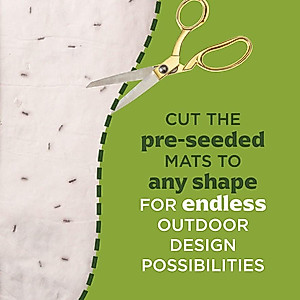 BloomingBulb Seed Mat - Easy to Plant and Grow Garden Seeds - Creates Fragrant, Vibrant Flower Garden – Customizable Flower Beds- Creeping Thyme Ground Cover