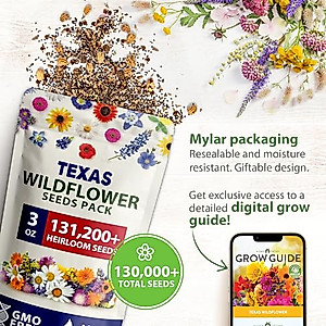 HOME GROWN 130,000+ Pure Wildflower Seeds - Premium Texas Flower Seeds [3 Oz] Perennial Garden Seeds for Birds & Butterflies - Wild Flowers Bulk Seeds Perennial: 22 Varieties Flower Seed for Planting
