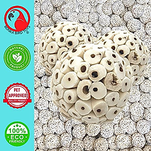 Bonka Bird Toys 1214 pk3 Sola Atta Balls Foot Beak Chew Forage Natural Organic Small Pet Ball
