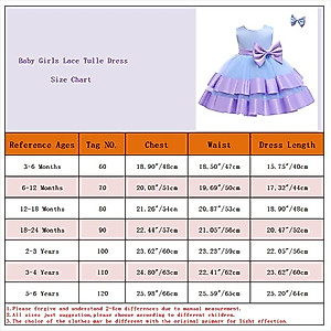 WZSYGDTC 3M-6T Flower Girl Ruffle Lace Tulle Dresses Thanksgiving Day Dress Christmas Tutu Gown Toddler Formal Dress (Navy, 3 Months-6 Months)