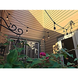 Rolay 11W Outdoor String Light Bulbs, S14 Incandescent Replacement Bulbs for Outdoor Patio String Lights with E26 Base, Pack of 25