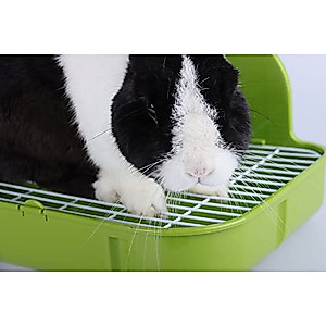 RUBYHOME Rabbit Litter Box Toilet, Plastic Square Cage Box Potty Trainer Corner Litter Bedding Box Pet Pan for Small Animals, Rabbits, Guinea Pigs, Chinchilla, Ferret, Galesaur, 11.4 Inches (Green)