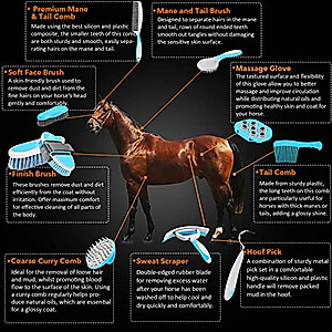 Harrison Howard Horse Grooming Kit 11-Piece Equine Care Series Horse Brush Sets with Organizer Tote Bag Tack Room Supplies Shedding Grooming Massaging Tools-Light Blue