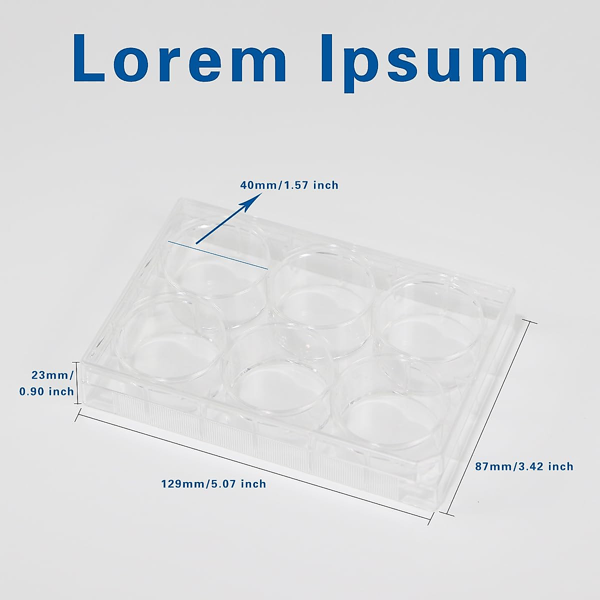 BIPEE Polystyrene Petri Dish 6 Well Cell Culture Plate, Sterile, Pack of 10