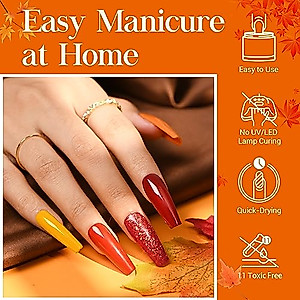 AZUREBEAUTY 29 Pcs Dip Powder Nail Kit Starter, Fall Limited Orange Glitter Red Green 20 Colors Acrylic Dipping Powder Liquid Set with Base/Top Coat for French Nails Art Manicure Beginner DIY Salon