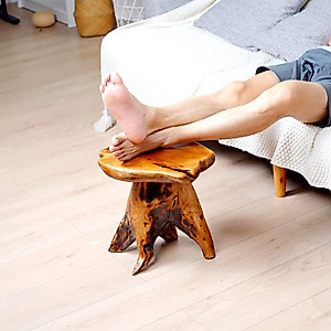 Brefhome Tree Stump Side Table Natural Edge Cedar Real Wood End Table,Small Wooden Mushroom Stool, Indoor/Outdoor