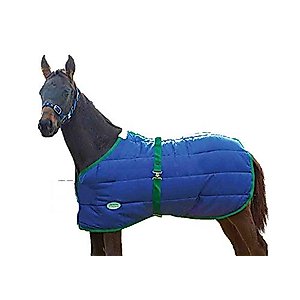 WeatherBeeta 420D Foal Standard Neck Medium, Navy/Hunter, 28"-42"