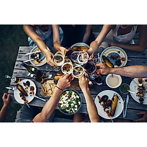 Vacanti Spirale Wine Glass (Set of 2) - Skip Aerating and Decanting - Filter Sediment From Wine Right in the Glass