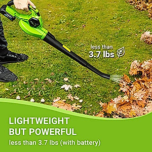 TODOCOPE 20V Cordless Leaf Blower with Battery and Charger, Electric Leaf Blower Vacuum, Battery Leaf Blower Cordless for Lawn, Variable Speed, Lightweight, Quick Charge, Green, (TDC-CB20)