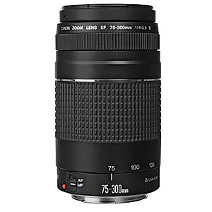 Canon EOS R10 Mirrorless Camera, Including RF-S 18-150mm f/3.5-6.3 is STM, EF 75-300mm f/4-5.6 III & 500mm f/8 Focus Lenses, 2X 64GB Memory Cards, Microphone, LED Video Light & More (35pc Bundle)