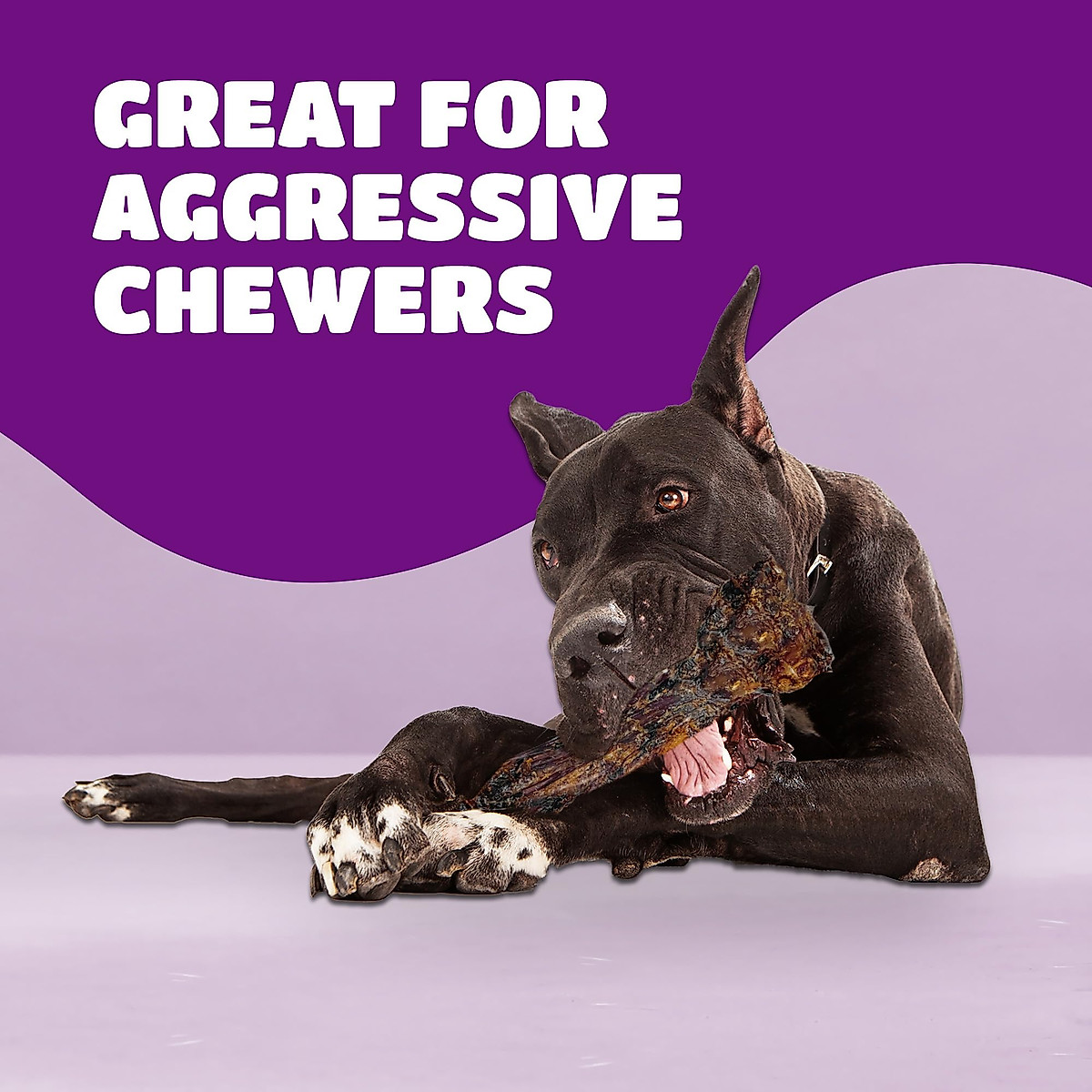 Lively Tails Liver Coated Dog Bones for Aggressive Chewers, Chew Bone for Large Dogs, Beef Shin Large Bone, Long Lasting Dog Bones, 2 Pack