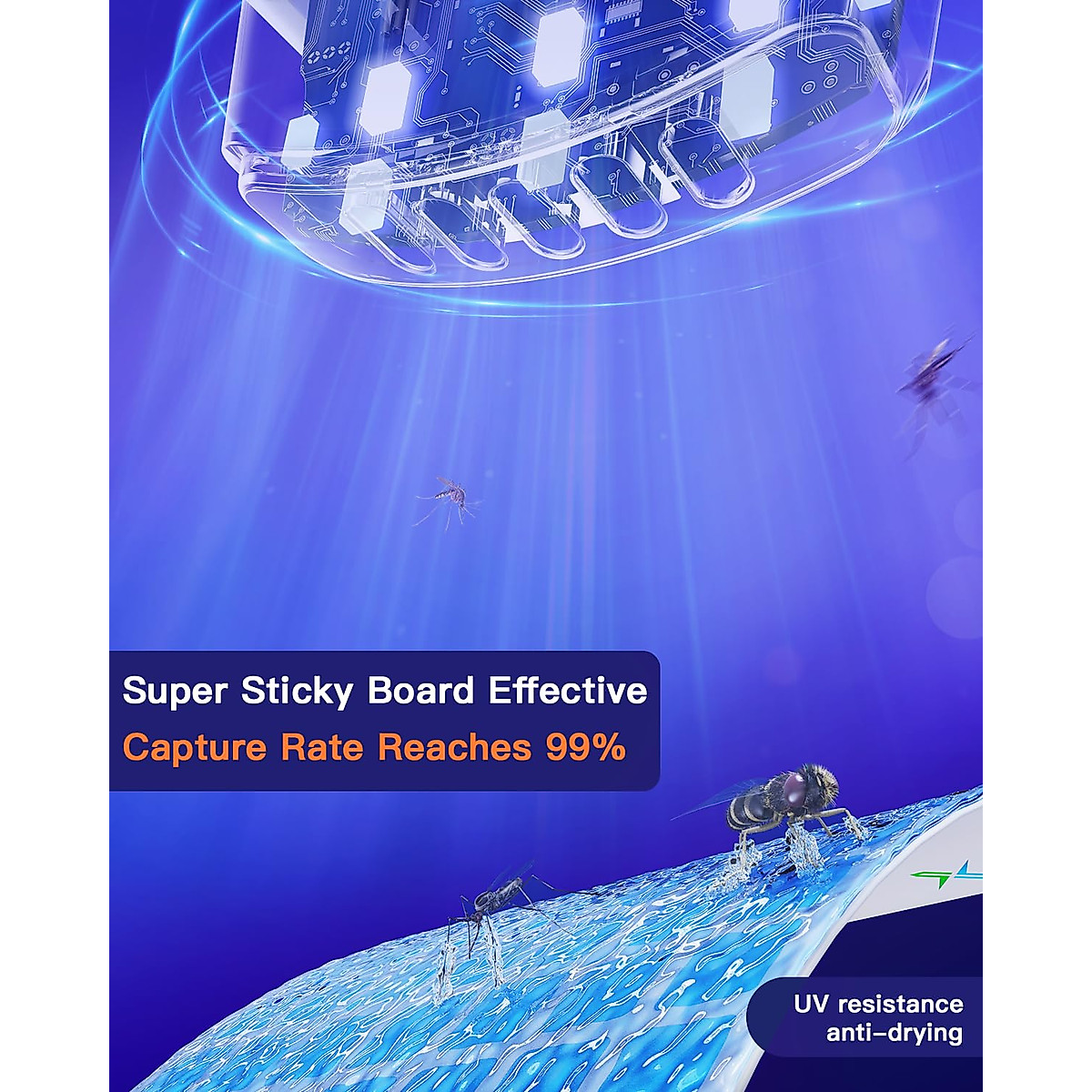 Indoor Fly Trap, Plug-in Bug Light Catcher with UV and Blue Light - Fruit Fly Traps for Indoors, Gnats, Mosquitoes, Flies, Moths,House Flies - Fly Traps Indoor for Home (2 Plug-in Base + 10 Refills)