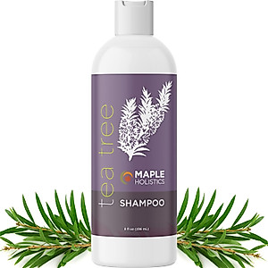 Tea Tree Shampoo for Oily Hair - Paraben and Sulfate Free Clarifying Shampoo for Build Up and Dry Scalp with Tea Tree Oil for Hair - Purifying Aromatherapy Tea Tree Oil Shampoo for Greasy Hair