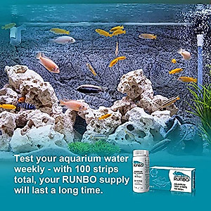RUNBO Aquarium Test Strips 6 in1 for Fresh/Salt Water Fish Tank Aquarium, 100 Count Easy and Accurate Test Nitrate, Nitrite, General Hardness, Free Chlorine, Carbonate, Ph