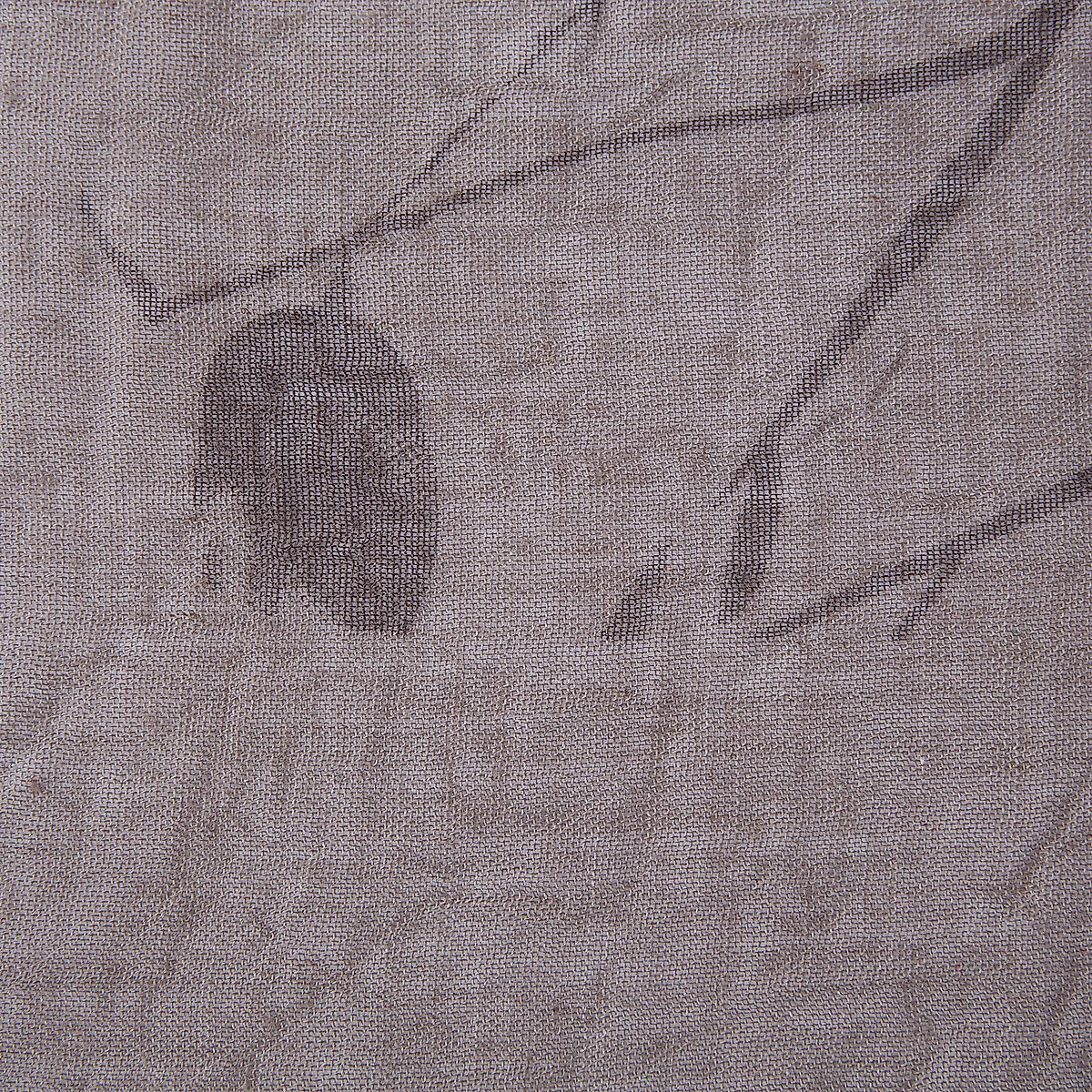 Hadley Wren Women's Lightweight Summer Insect Shield Scarf, Brown Branches and Leaves, One Size