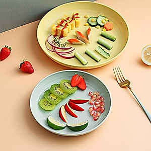 ROLTIN ?Kitchen Dinner Plates Sets Round Plate Dish Plate Household Fruit Bowl Dish Kitchen Dish Plate for Salad Candy Dessert Fruit Pastry Plate Set 4-pack Ceramic Flat Plates