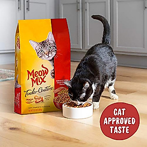 Meow Mix Tender Centers Dry Cat Food, Salmon & Chicken, 13.5 Pound Bag