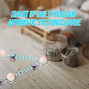 GOGODOGYA Cat toys,Interactive cat toy ball,Indoor Automatic Moving Cat Ball Toys/Puppies Toys,With LED Rainbow Lights,Feathers & USB Charging Cable,Touch control and Sound control Smart Start Cat Toy