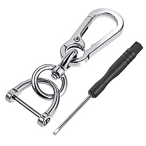 Giantree Horseshoe Buckle Car Keychain, Universal Keychain Zinc Alloy Key Chain 360 Degree Rotatable with Anti-lost D-ring Fit for Men and Women