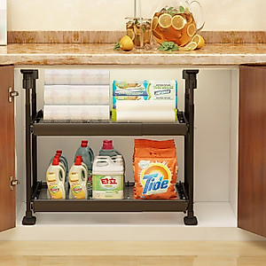 moapm Pull Out Cabinet Organizer Wire Basket Slide Out Cabinet Drawer 2 Tier Individual Storage Shelves Spice Rack Under Sink Organizers and Storage for Kitchen, Bathroom Double Layer