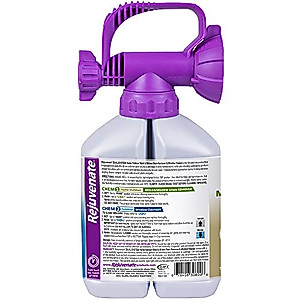 Rejuvenate High Performance Dual Bottle 32oz Outdoor Window Cleaner & 32oz Mold and Mildew Stain Remover with Hose-End Attachment