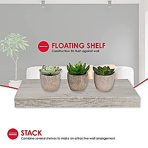 Home Basics Floating Wall Shelf Washed Grey 18" (1 Shelf) Contemporary and Modern Shelf for Picture Frames, Sculptures, Plants, and Essentials | Invisible Mounting Brackets