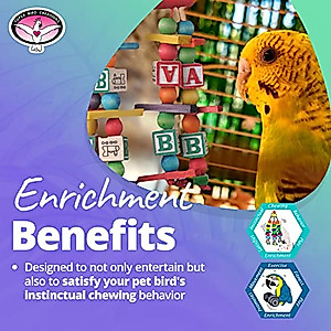 Super Bird Creations SB448 Katy's ABC Jr. Bird Toy, Medium Bird Size, 7" x 5" x 1.5"