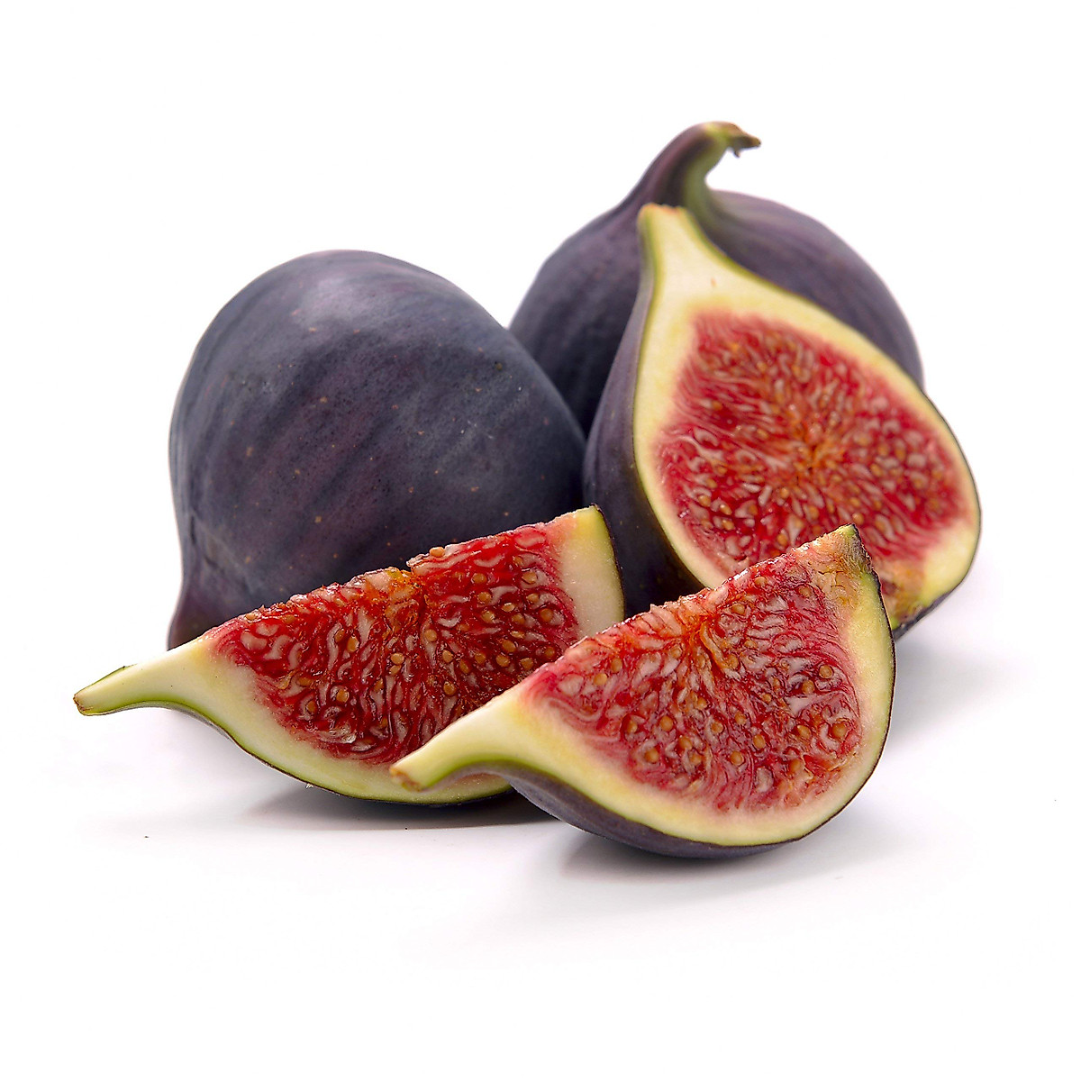 Beer's Black Fig Tree (Dwarf Habit) Live Plant - Ficus carica 'Beer's Black' - Wellspring Gardens - Cold-Hardy Fig, Dwarf Fig Tree, Compact Fig Plant - Fruit Bearing Starter Tree